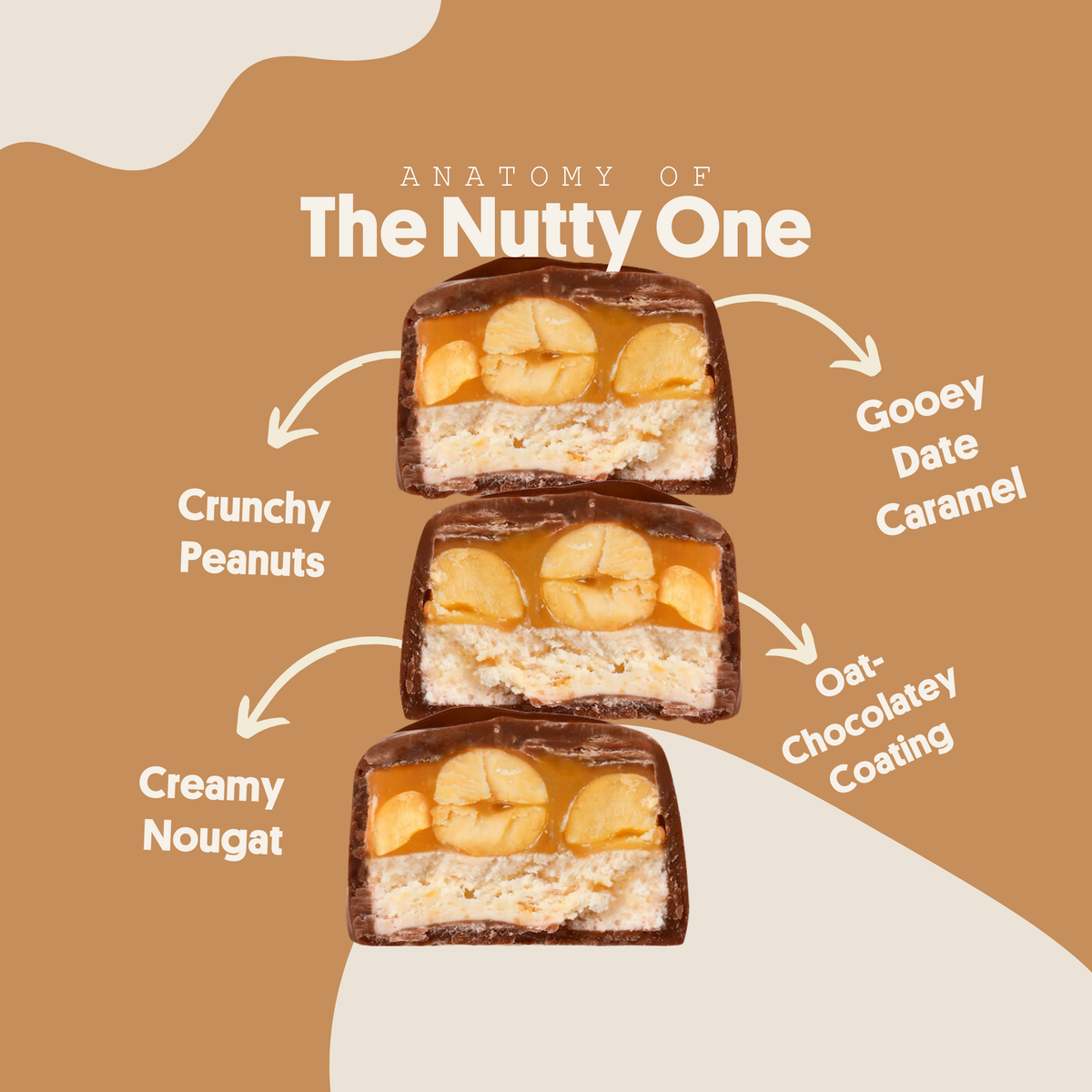 THE NUTTY ONE: Peanuts, Date Caramel & Oat Chocolate Candy Bar (12 ...